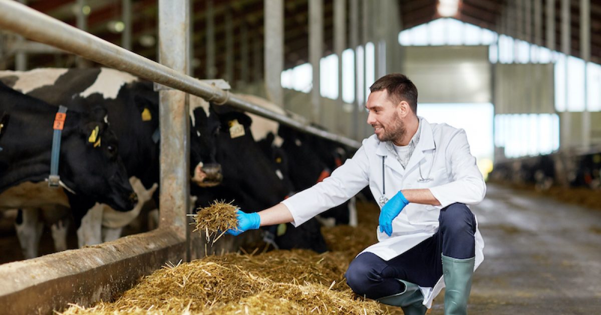 Nutrición animal | ¿Qué requiere un alimento balanceado? - Tryadd