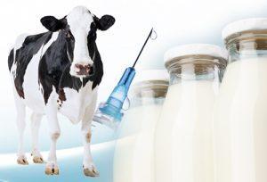 Solución para disminuir el uso de antibióticos - Tryadd